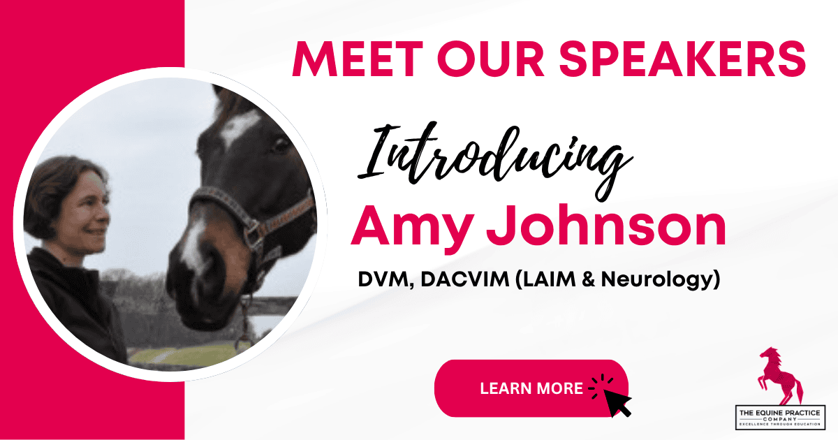 Amy Johnson - The Equine Practice Company