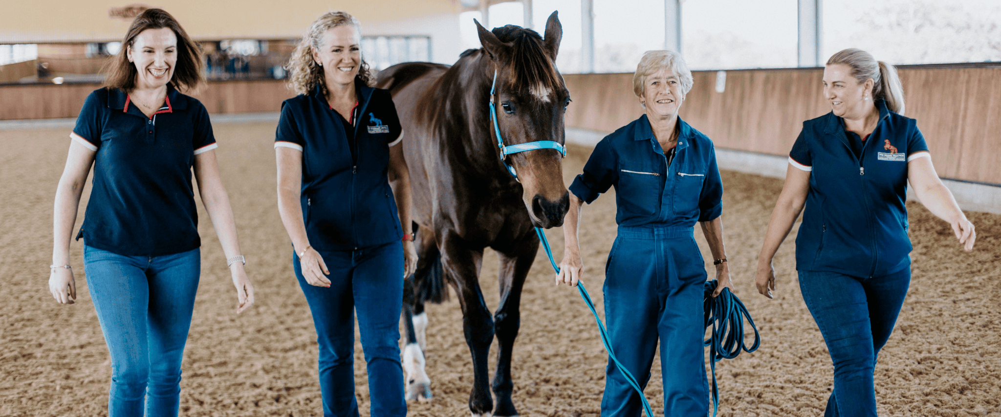 Equine Lameness Program - The Equine Practice Company