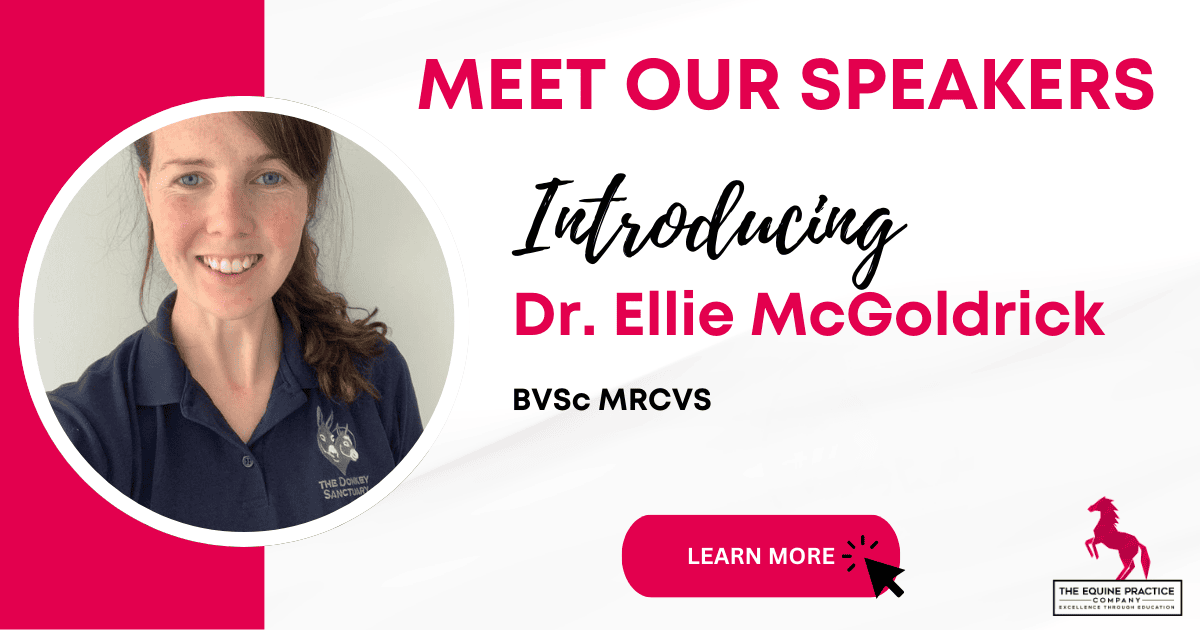 Dr. Ellie McGoldrick - Leading Excellence in Donkey Medicine and ...