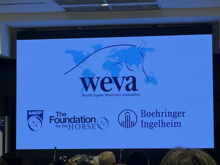 WEVA - World Equine Veterinary Association: History, Mission & WEVA ...